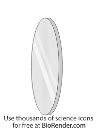 Free Lens (plane, circular 2) Icons, Symbols & Images | BioRender
