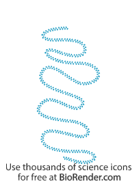 Free Chromatin (loops) Icons, Symbols & Images | BioRender