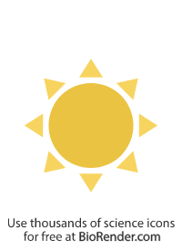 Free Sun Icons, Symbols & Images | BioRender