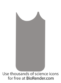 Free Antibody fragment (sdAb) Icons, Symbols & Images | BioRender