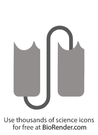 Free Antibody fragment (scFv) Icons, Symbols & Images | BioRender