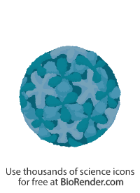 Free Norovirus Icons, Symbols & Images | BioRender