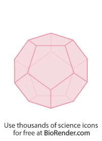 Free 3D - Dodecahedron Icons, Symbols & Images | BioRender