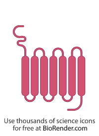 Free SMO Icons, Symbols & Images | BioRender