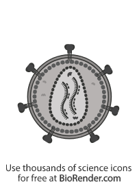 Free HIV Icons, Symbols & Images | BioRender