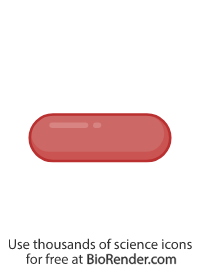 Free Bacteria Icons, Symbols & Images | BioRender