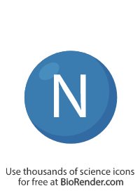 Free Element, Nitrogen Icons, Symbols & Images | BioRender