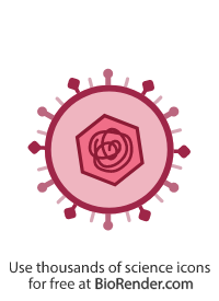 Free Herpes virus Icons, Symbols & Images | BioRender