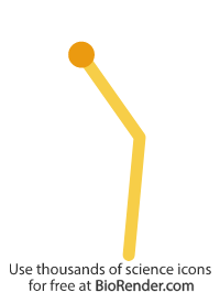 Free Fatty acid (unsaturated) Icons, Symbols & Images | BioRender