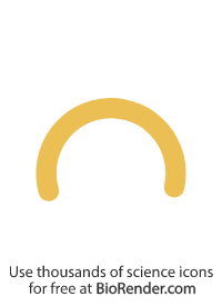 Free Vesicle (synaptic cleft, half circle) Icons, Symbols & Images ...