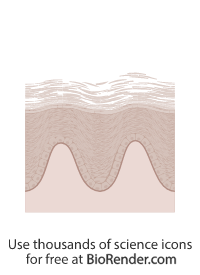 Free Skin (psoriasis) Icons, Symbols & Images | BioRender