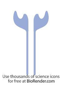 Free NK cell receptor Icons, Symbols & Images | BioRender