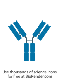 Free Antibody IgD Icons, Symbols & Images | BioRender