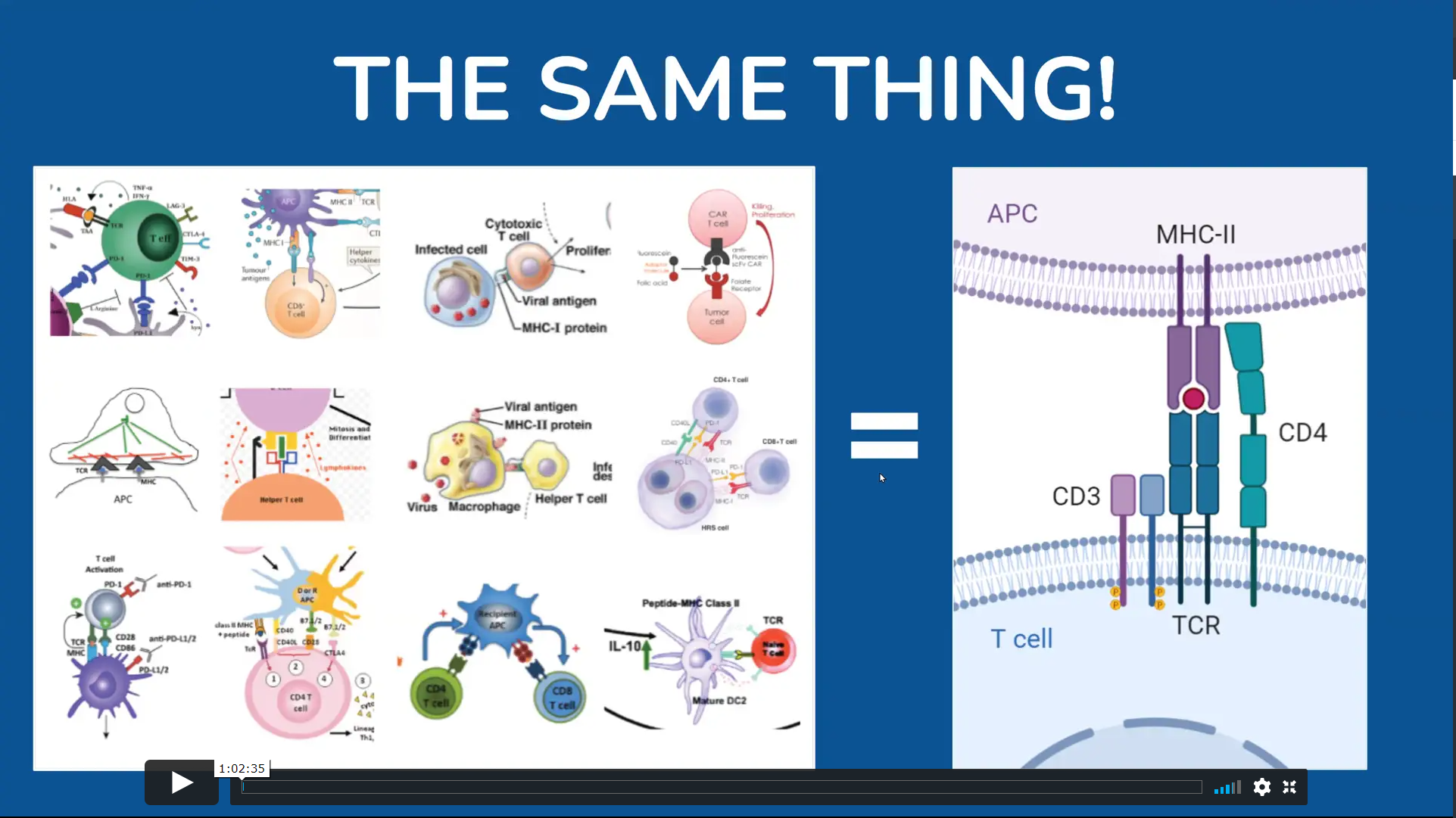 BioRender Learning Hub | BioRender Onboarding @ Max Plank Society ...