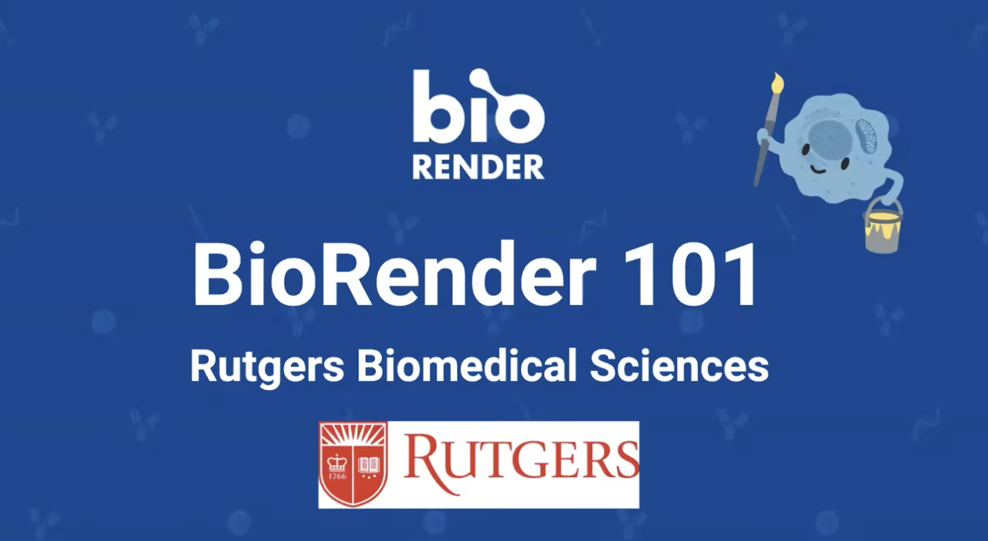 BioRender Learning Hub | BioRender 101 at Rutgers Biomedical Sciences