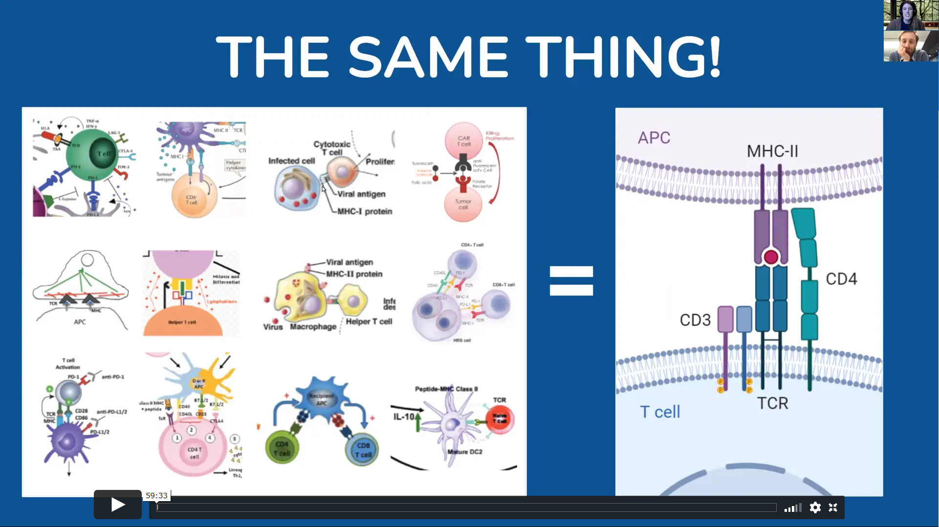 BioRender Learning Hub | BioRender 101 at University College Dublin