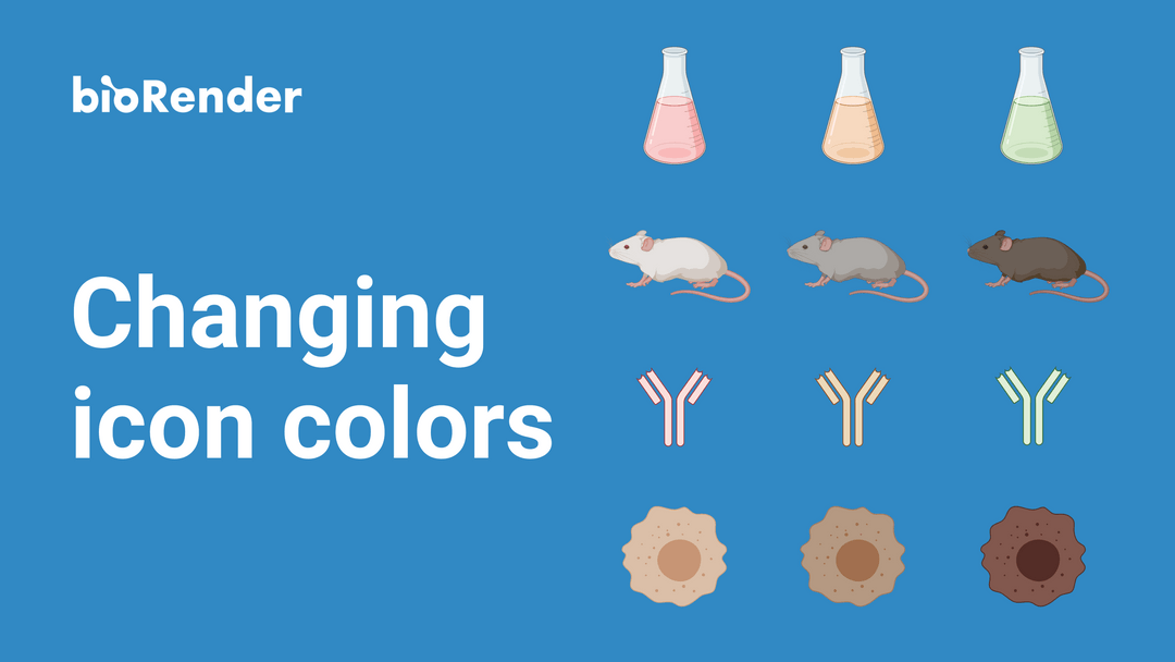 BioRender Learning Hub | Welcome to the BioRender Learning Hub