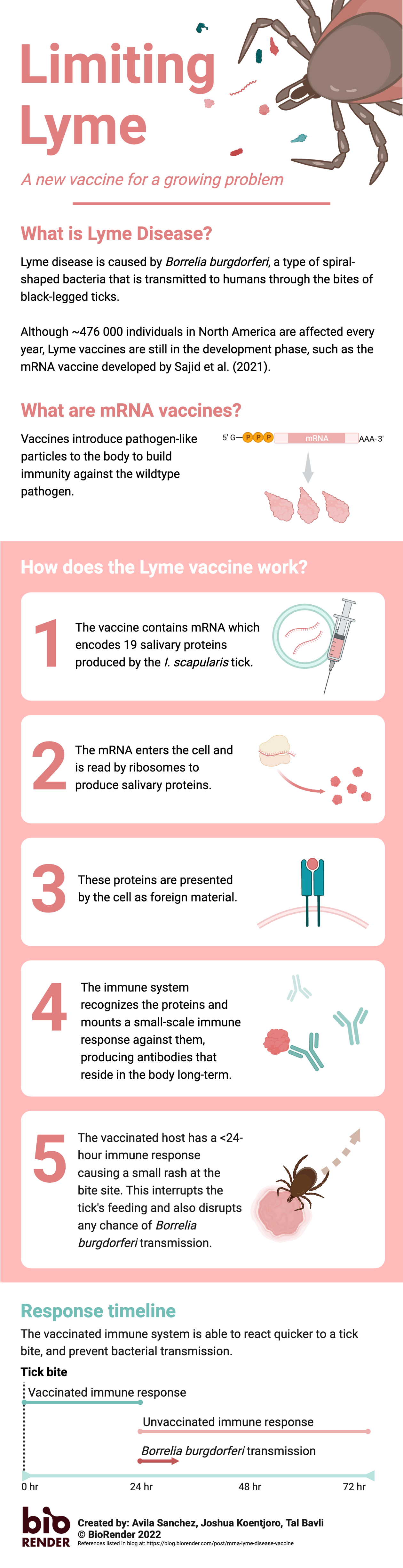 Limiting Lyme [Infographic] created in BioRender