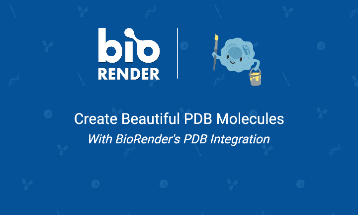 BioRender Learning Hub | Create Beautiful PDB Molecules