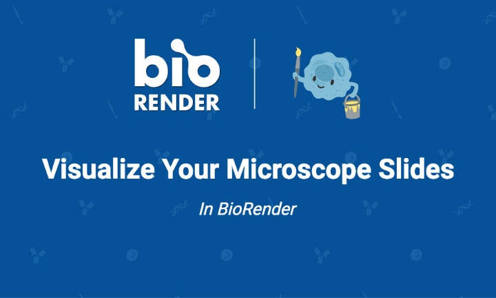 BioRender Learning Hub | Visualize your Microscope Slides