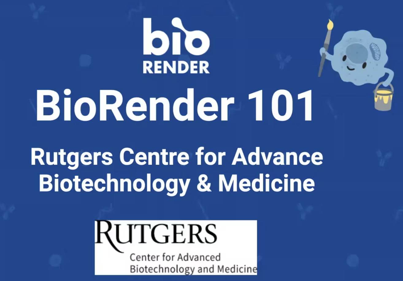 BioRender Learning Hub | BioRender 101 @ Rutgers CABM