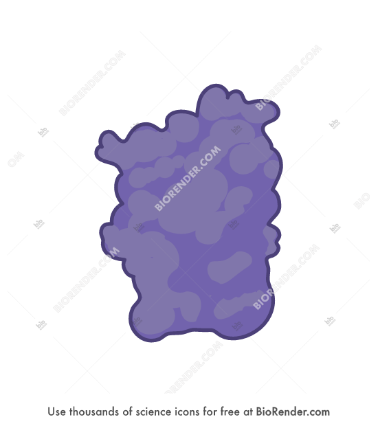 Free Generic protein (cylinder) Icons, Symbols & Images | BioRender