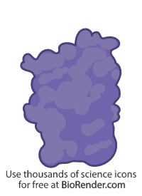 Free Generic protein (cylinder) Icons, Symbols & Images | BioRender