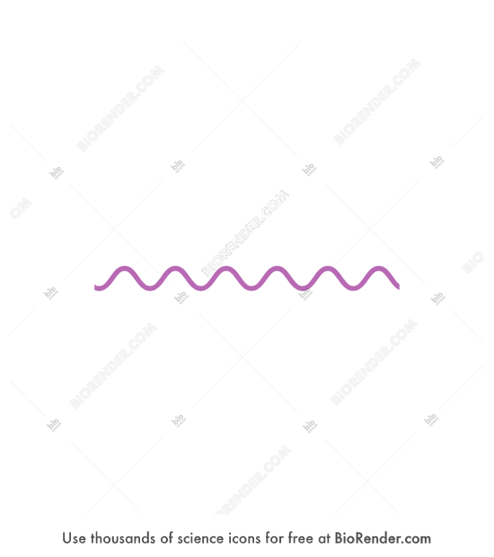 Free RNA (medium) Icons, Symbols & Images | BioRender