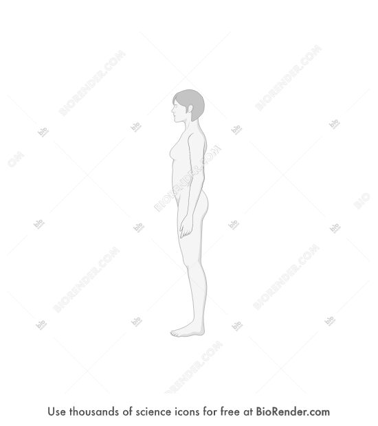 Free Adult female (lateral) Icons, Symbols & Images | BioRender