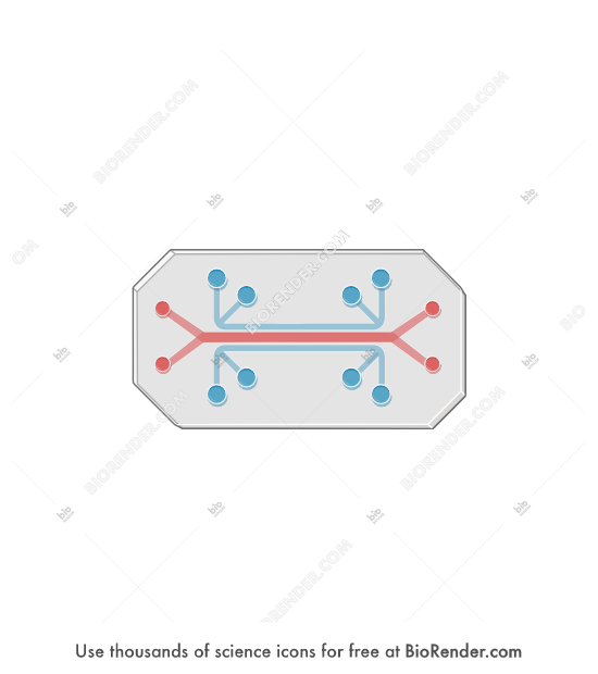 Free Microfluidic device (organ-on-chip) Icons, Symbols & Images ...
