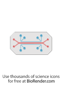 Free Microfluidic device (organ-on-chip) Icons, Symbols & Images ...