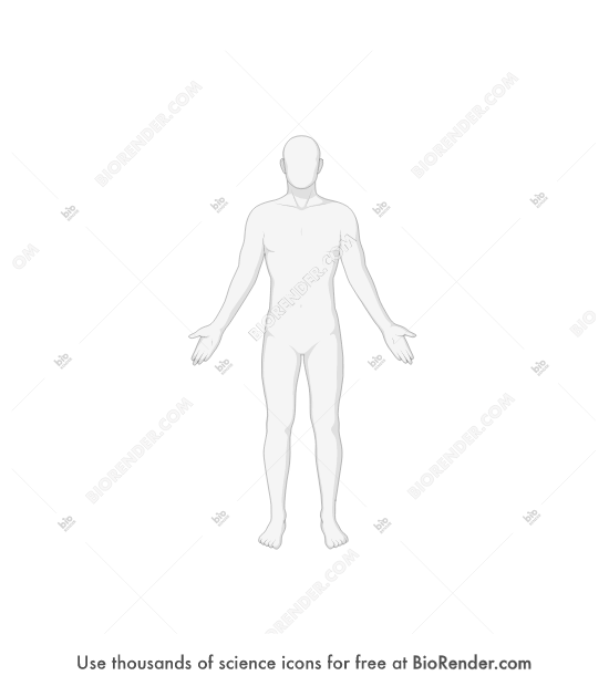 Free Adult male (no features) Icons, Symbols & Images | BioRender