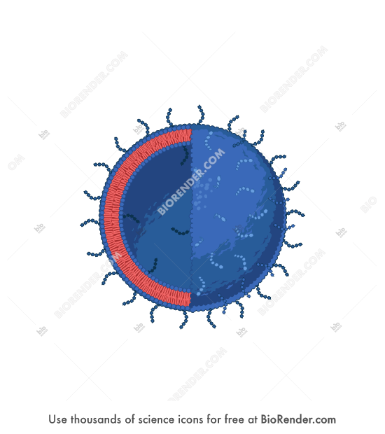Free Vesicle (3D, with LPS) Icons, Symbols & Images | BioRender