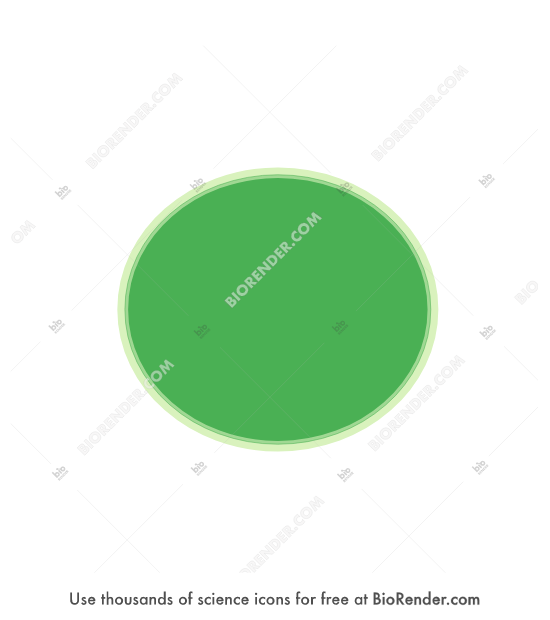 Free Cyanobacteria (capsule) Icons, Symbols & Images | BioRender