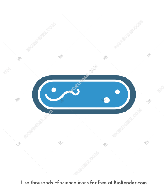Free Bacteria 1 (bacillus) Icons, Symbols & Images | BioRender
