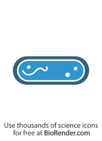 Free Bacteria 1 (bacillus) Icons, Symbols & Images | BioRender