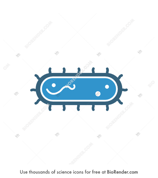 Free Bacteria 2 (bacillus pili) Icons, Symbols & Images | BioRender