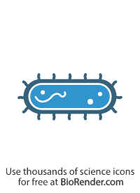 Free Bacteria 2 (bacillus pili) Icons, Symbols & Images | BioRender