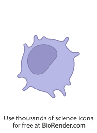 Free Dendritic cell (immature) Icons, Symbols & Images | BioRender