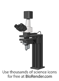 Free Fluorescence microscope (electrophysiology) Icons, Symbols ...