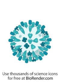 Free Influenza virus (3D) Icons, Symbols & Images | BioRender