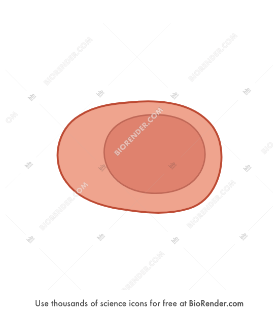 Free Human induced pluripotent stem cell Icons, Symbols & Images ...