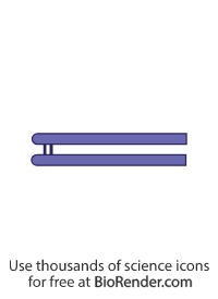 Free Latency associated peptide 1 Icons, Symbols & Images | BioRender