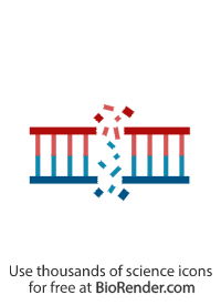 Free DNA (unwound, double-stranded break) Icons, Symbols & Images ...