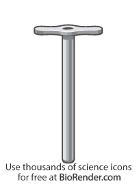 Free Cork borer Icons, Symbols & Images | BioRender