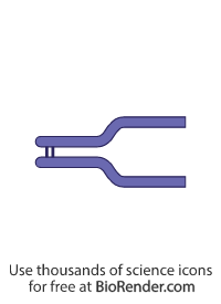 Free Latency associated peptide 2 Icons, Symbols & Images | BioRender