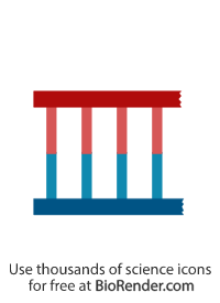 Free DNA (unwound, double-stranded break half) Icons, Symbols & Images ...