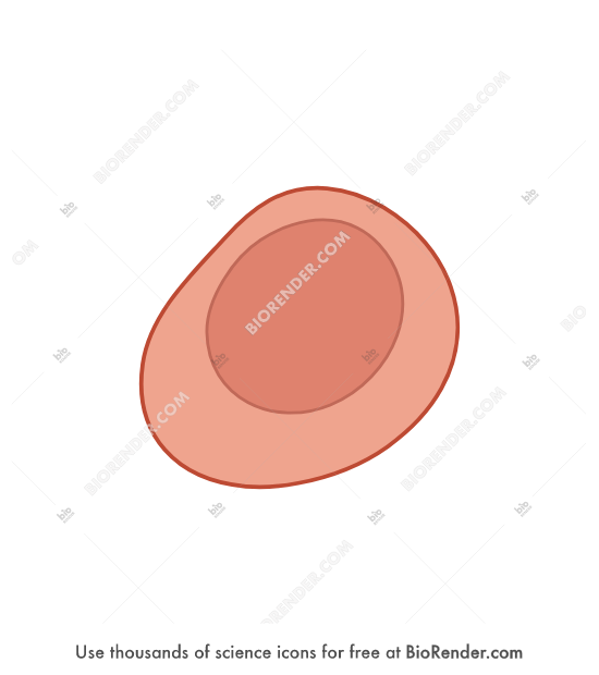 Free Human induced pluripotent stem cell 2 Icons, Symbols & Images ...