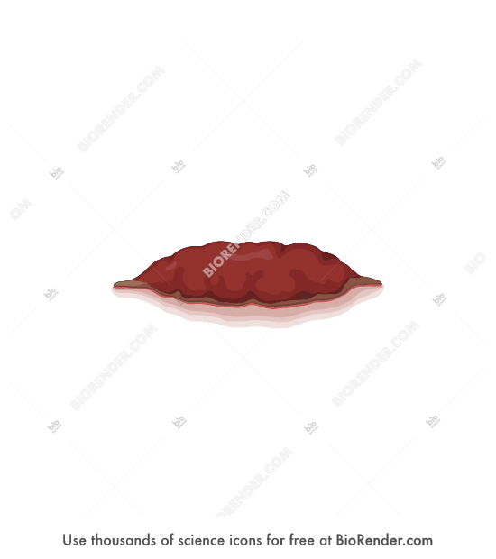 Free Scab (on skin) Icons, Symbols & Images | BioRender