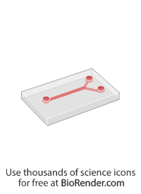 Free Microfluidic device (Y channel) Icons, Symbols & Images | BioRender